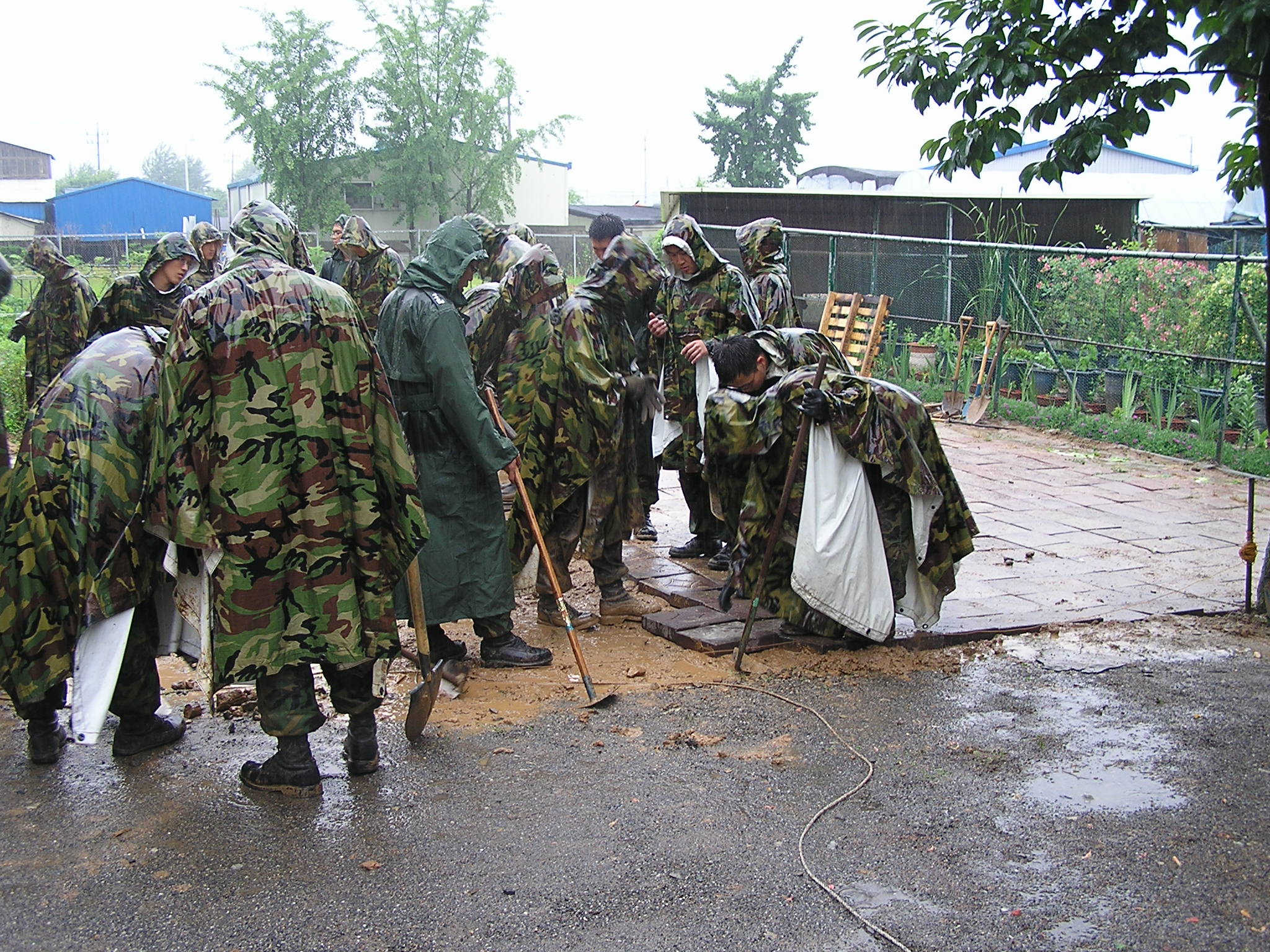 BEMIL 사진 자료실 - 유용원의 군사세계