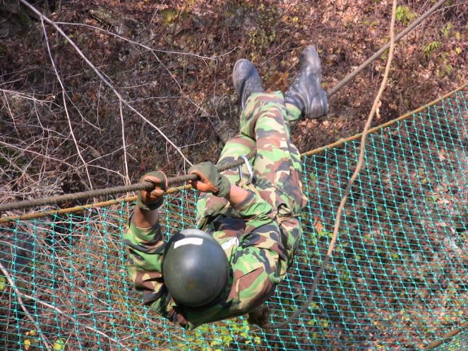 BEMIL 사진 자료실 - 유용원의 군사세계