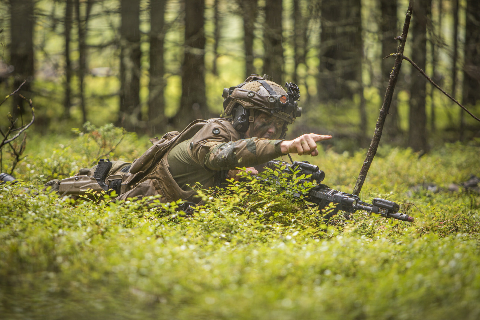 BEMIL 사진 자료실 - 유용원의 군사세계