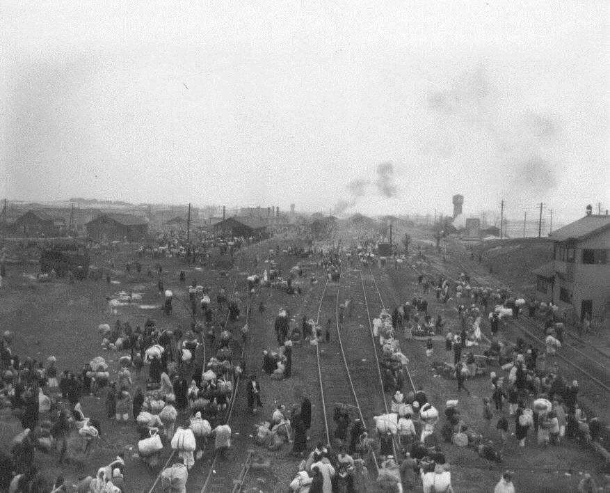 BEMIL 사진 자료실 - BEMIL 군사세계