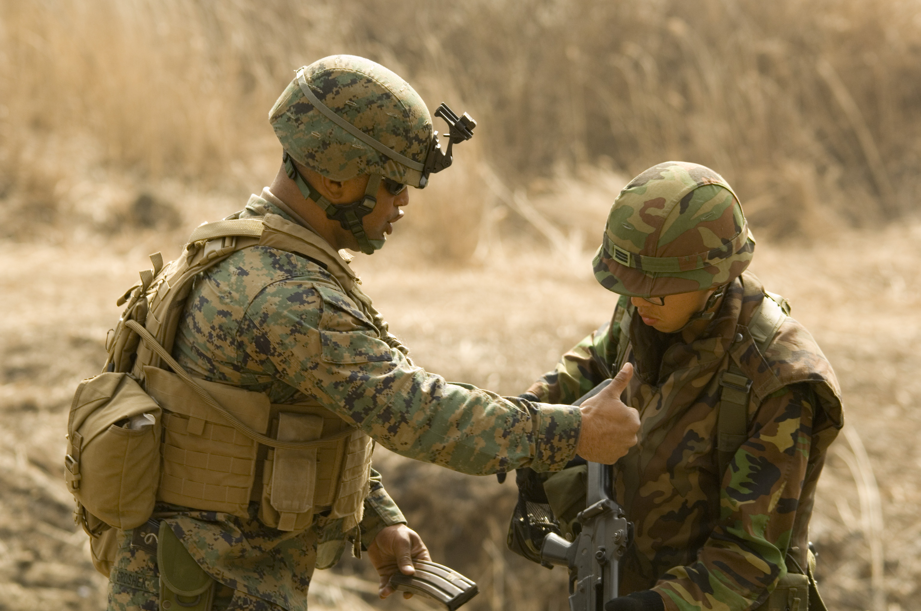 BEMIL 아카이브 - 유용원의 군사세계