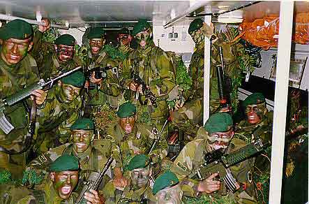 무기 토론방 - 유용원의 군사세계