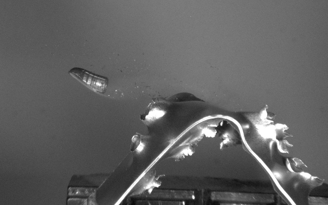 BEMIL 사진 자료실 - 유용원의 군사세계