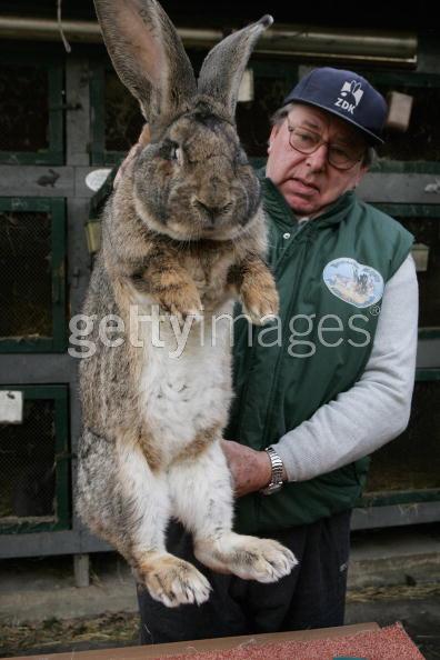 BEMIL 사진 자료실 - 유용원의 군사세계