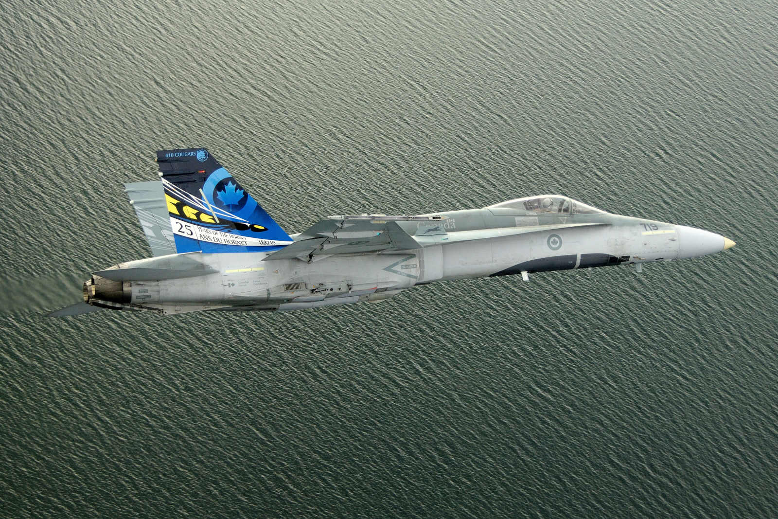 BEMIL 사진 자료실 - 유용원의 군사세계