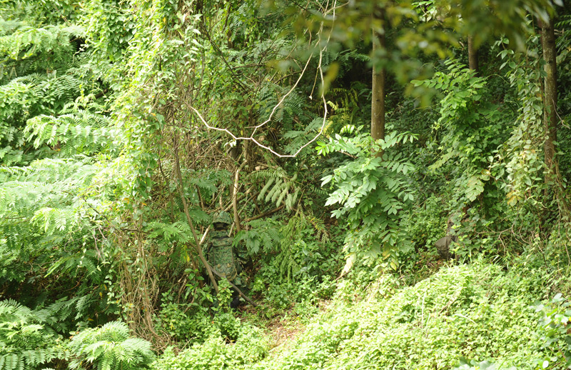 BEMIL 사진 자료실 - 유용원의 군사세계