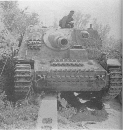 BEMIL 사진 자료실 - 유용원의 군사세계