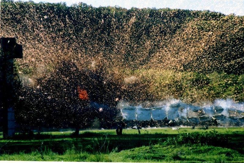 BEMIL 아카이브 - 유용원의 군사세계