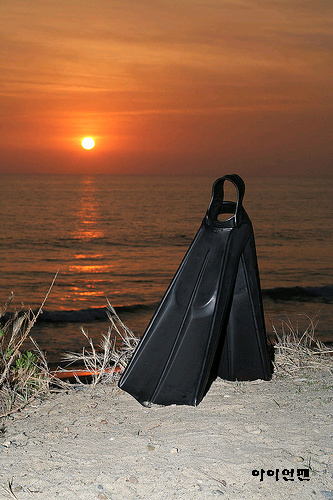 BEMIL 아카이브 - 유용원의 군사세계